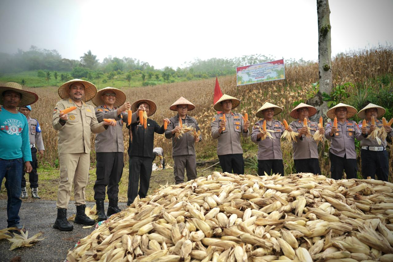 Bupati Pakpak Bharat, Franc Bernhard Tumanggor mengikuti Panen Raya ...